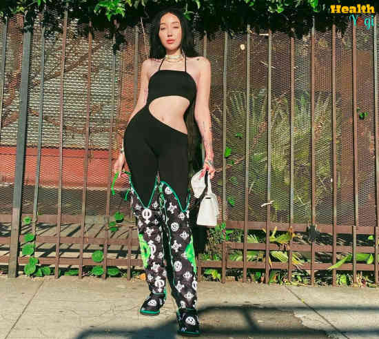 Noah Cyrus Diet Plan And Workout Routine - Health Yogi Noah Cyrus Diet Plan And Workout Routine - Health Yogi